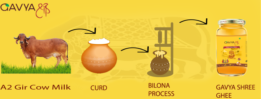 A2 - Gir Cow - vedic bilona ghee (pure organic food)